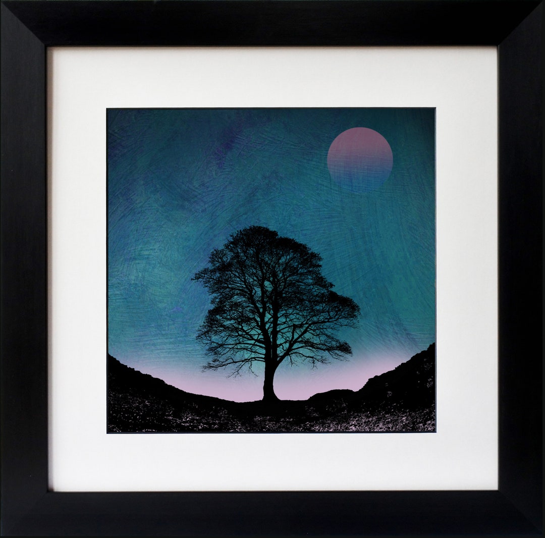 Dusk at Sycamore Gap Fine Art Print - Etsy