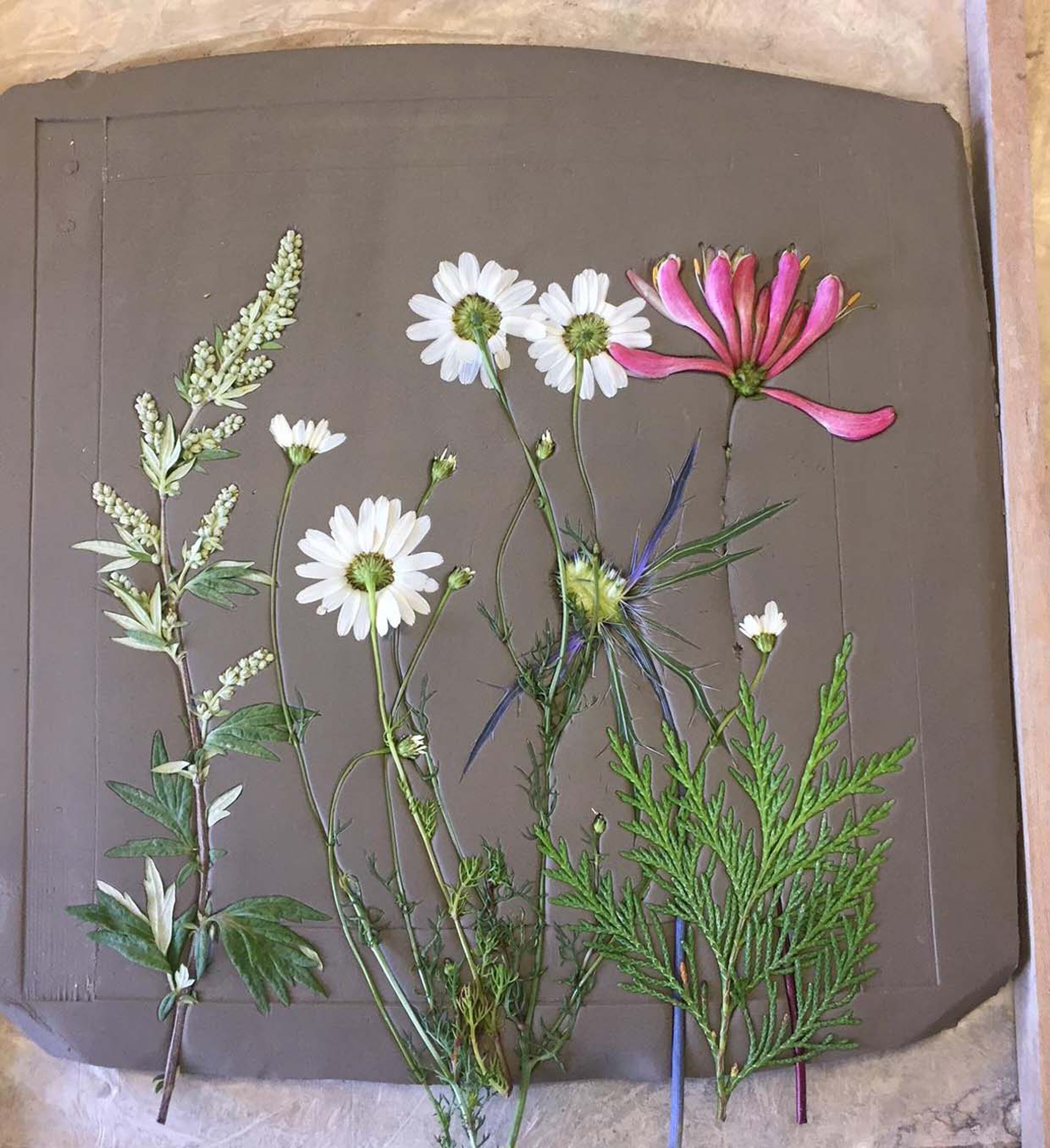 Plaster Casting Flower Workshop - Etsy