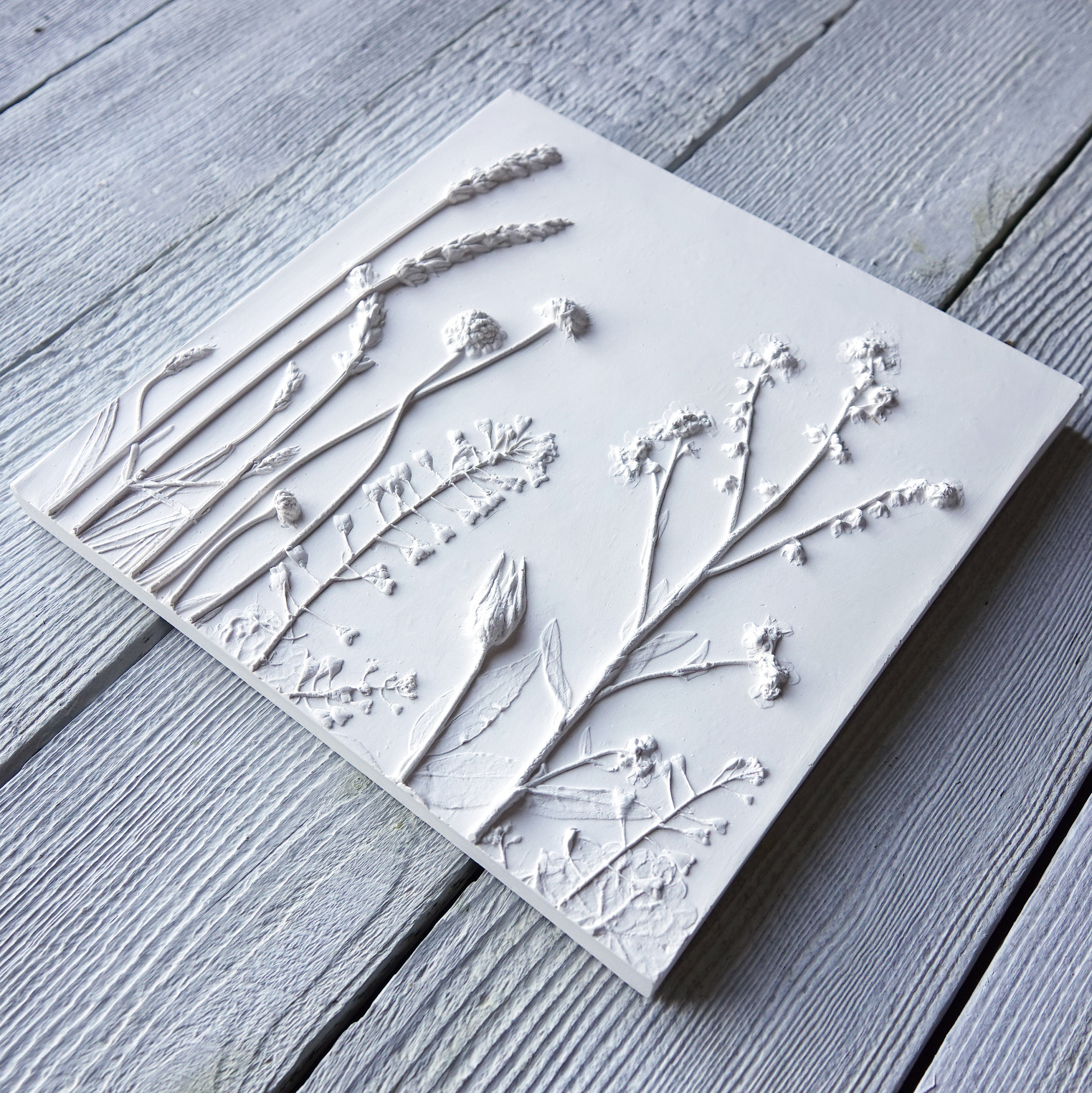 Late Summer No.1, Plaster Cast Flower Wall Plaque - 20 X 20cm (8 X 8 ...