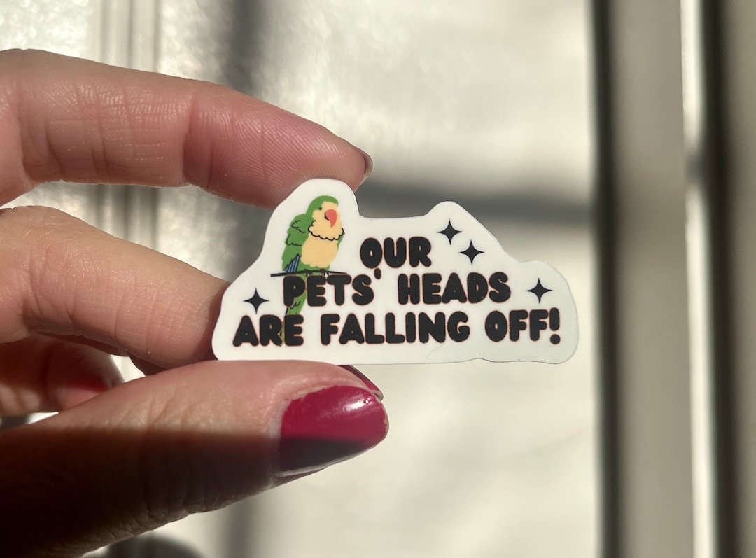 Our Pets Heads Are Falling off Waterproof Sticker | Meme Sticker, Witty ...