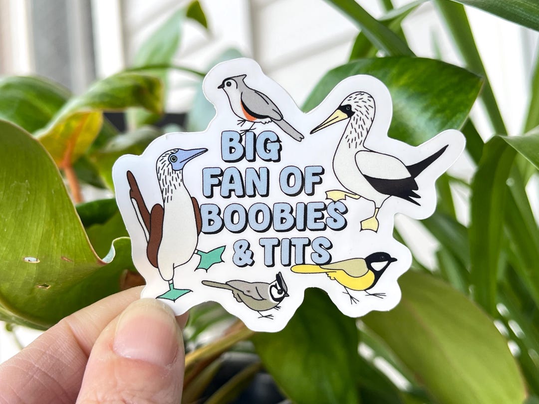 Big Fan of Boobies and Tits Waterproof Sticker | Gifts for Birders ...