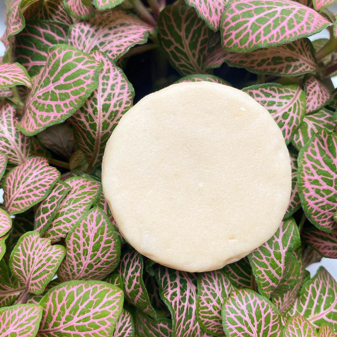 Perla Delicate and Floral Solid Shampoo. Eco-friendly and Vegan. With ...