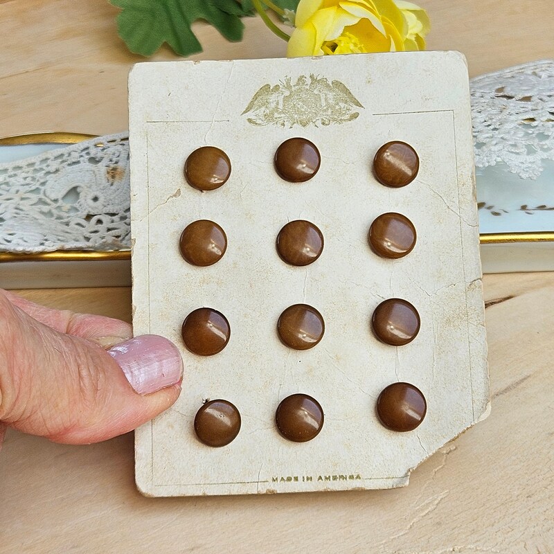 Vegetable Ivory - Etsy