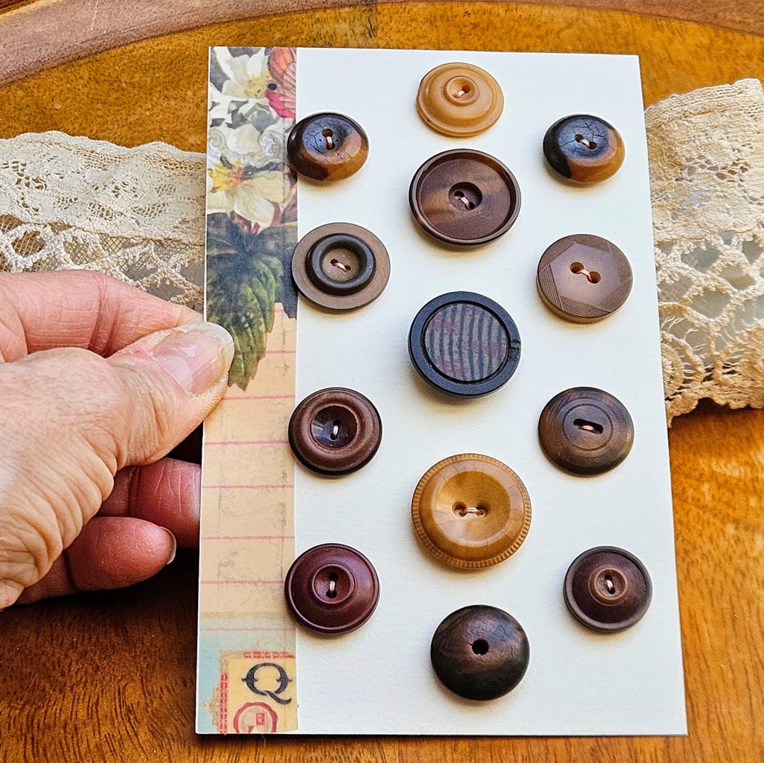 13 Assorted Vegetable Ivory Buttons - Shades of Browns - Etsy