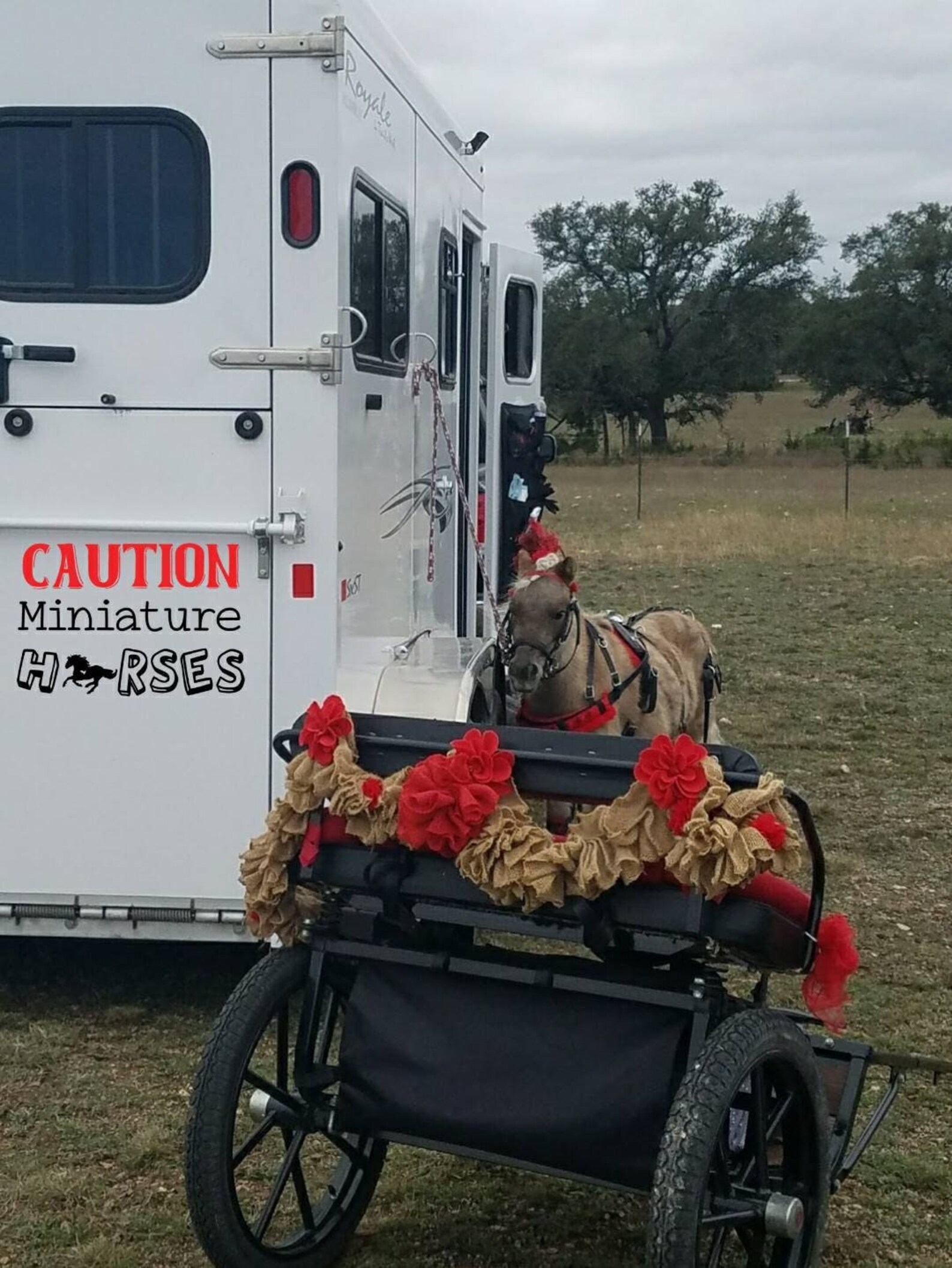 CAUTION Miniature Horses VINYL DECAL Sticker for Diy Sign - Etsy