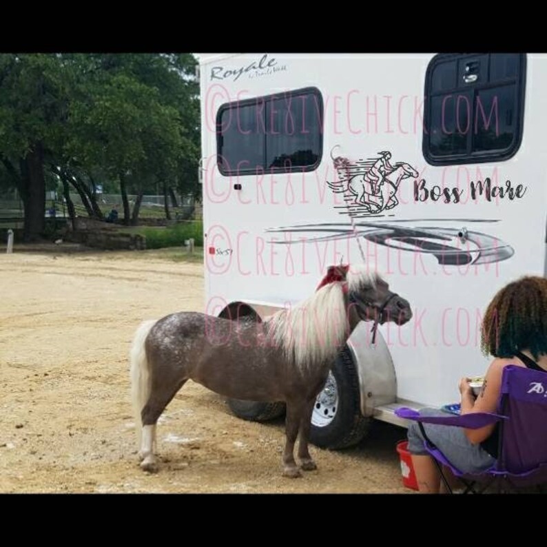 Boss Mare VINYL DECAL STICKER Barrel Racing Barrel Racer for - Etsy