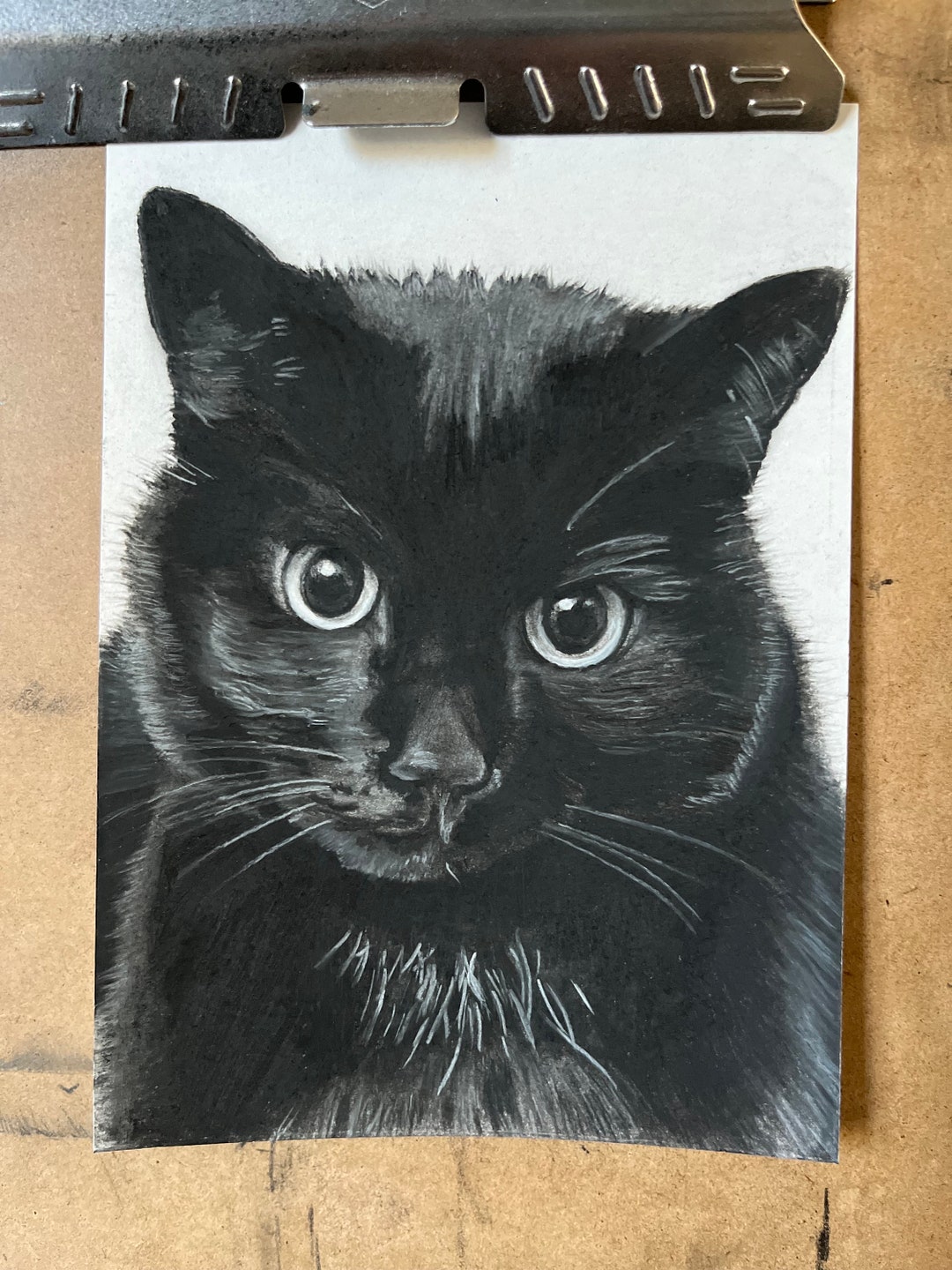 Custom Pet Portrait Drawing in Graphite and Charcoal Pencil - Pet ...