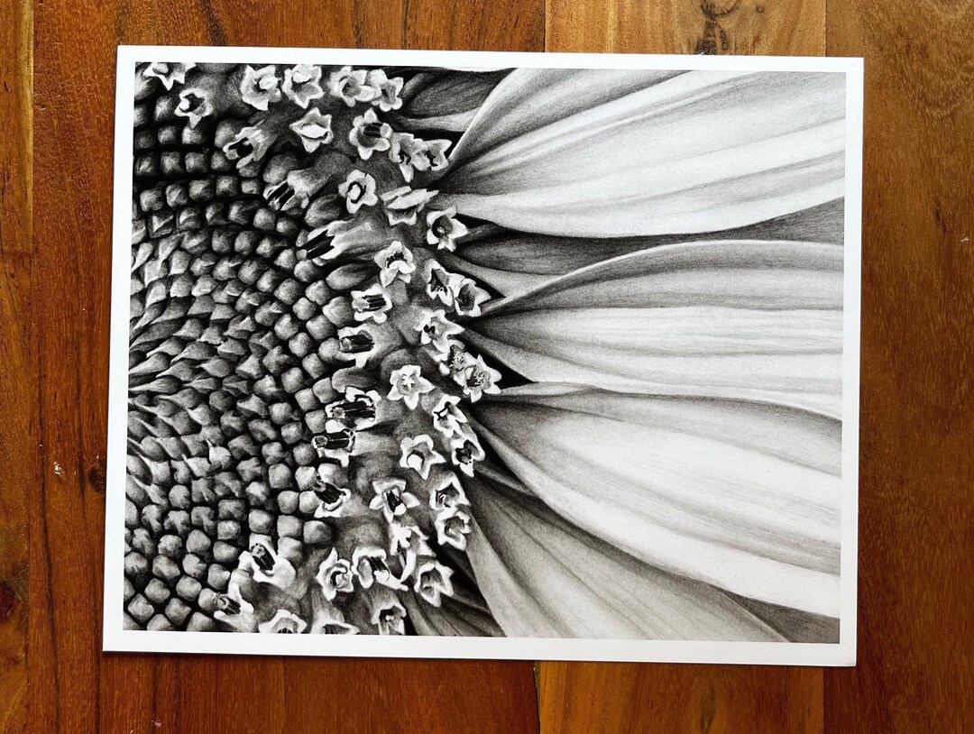 Sunflower Art Print “look for the Sunshine” Fine Art Giclee Print of a ...