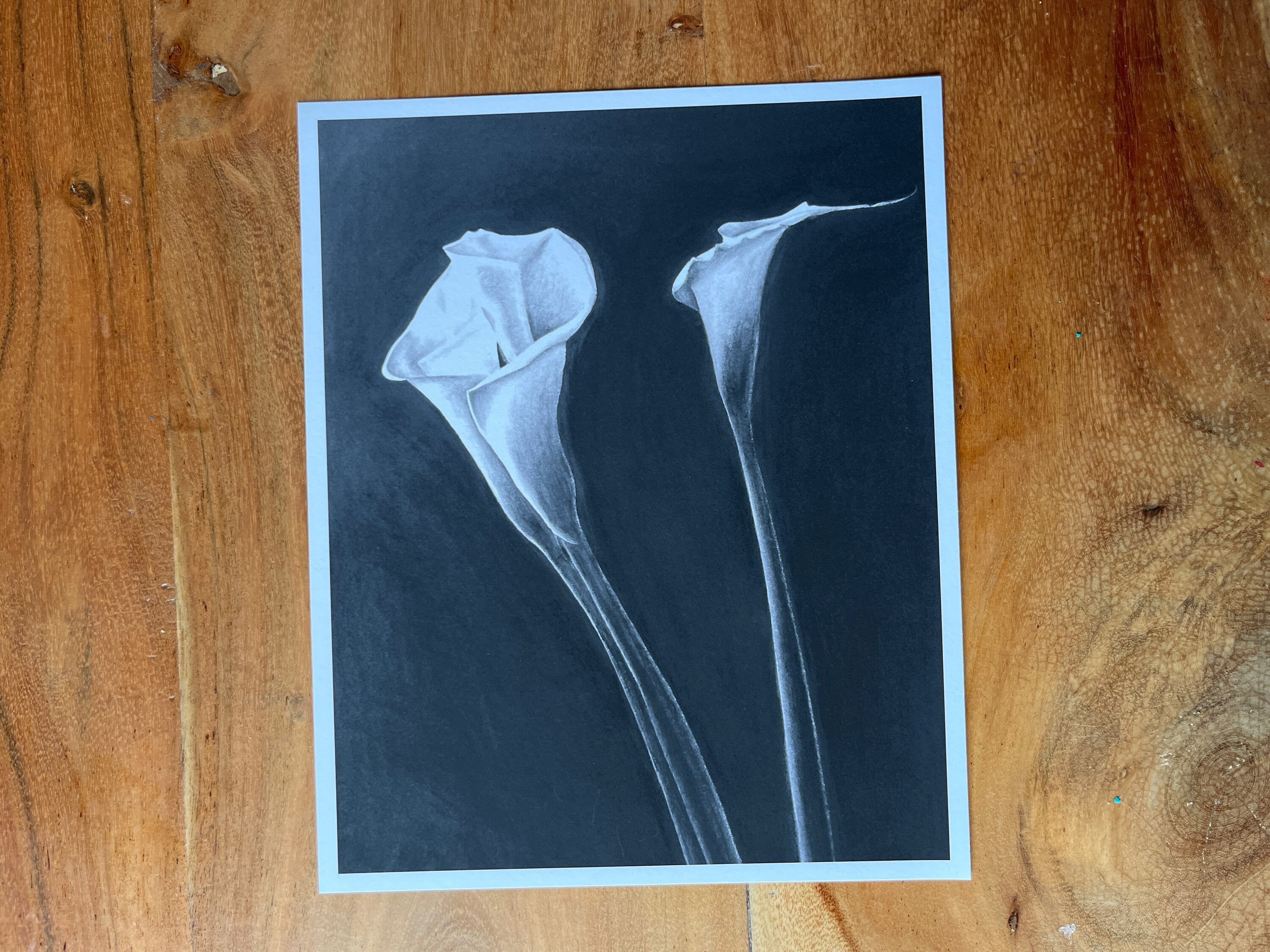 Fine Art Giclee Print of My Original Black and White Charcoal Pencil ...