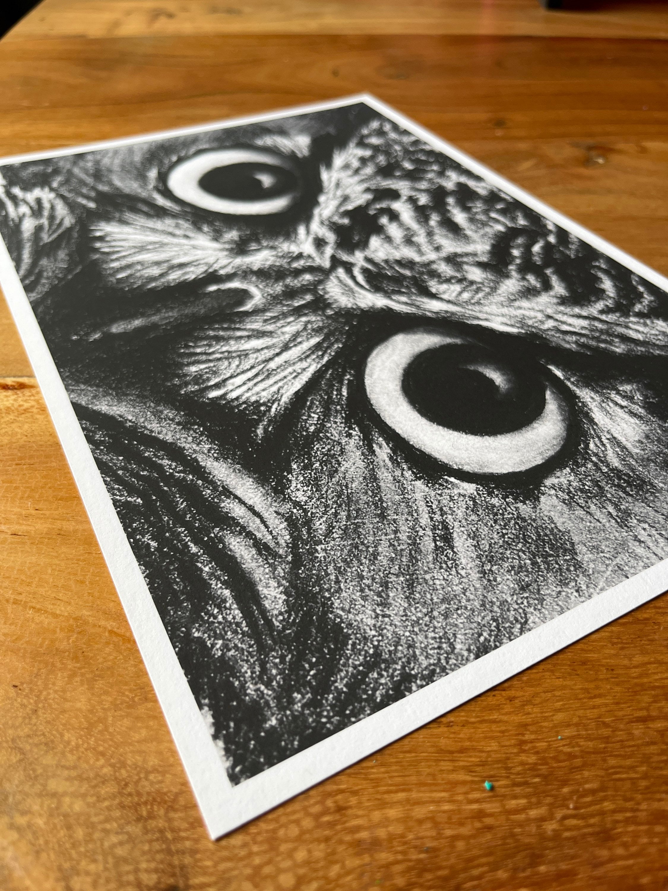 Owl Charcoal Drawing Fine Art Giclee Print of My Original Drawing 12x8 ...