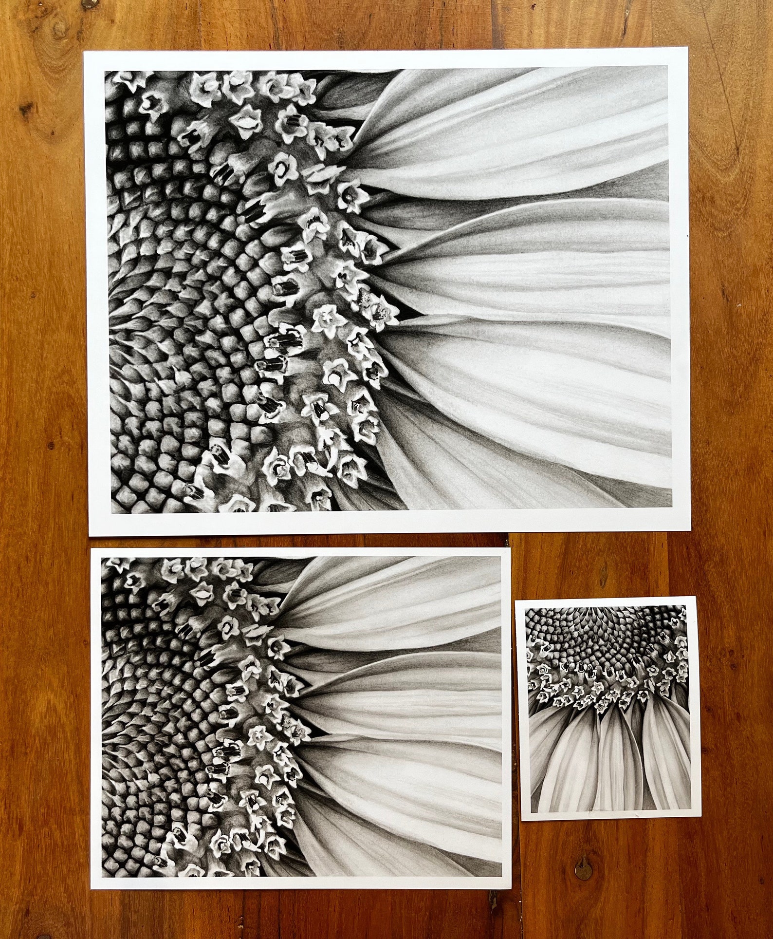 Sunflower Art Print “look for the Sunshine” Fine Art Giclee Print of a ...