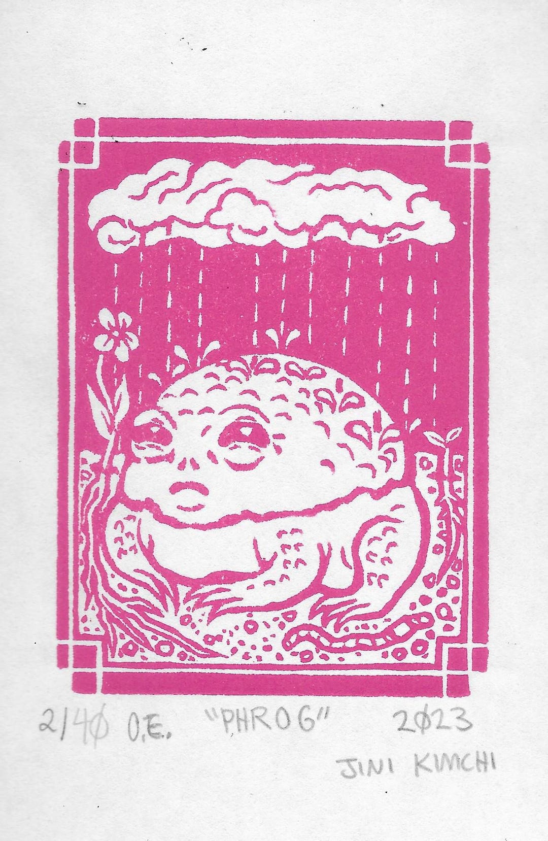 Phrog | Cute Frog | Pink Frog | Desert Rain Frog | Rain Frog | Frog ...
