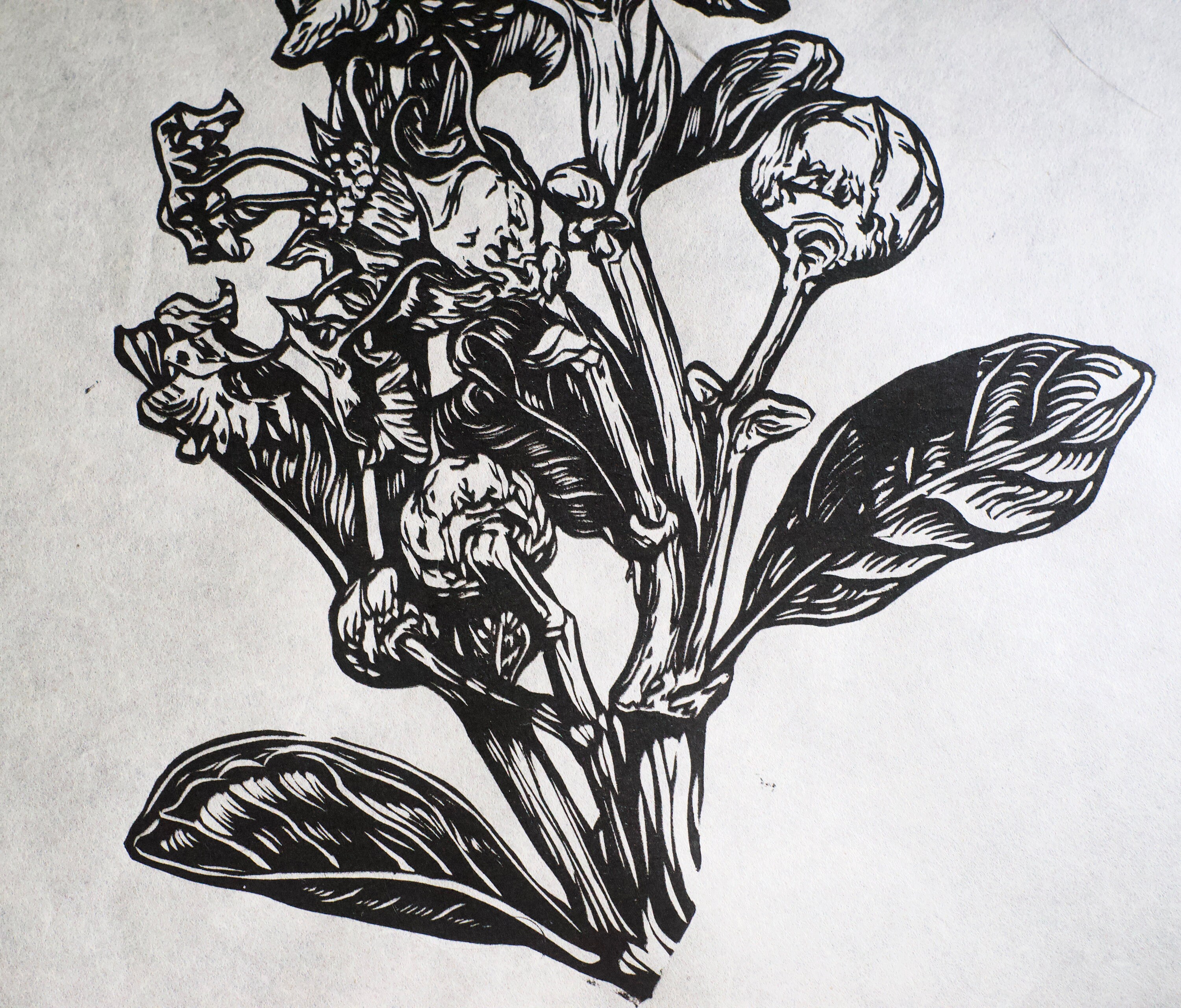 Bloom | Flower Print | Linocut | Relief Print | Botanical Illustration ...