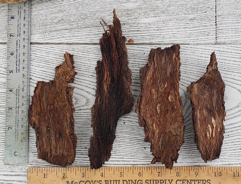 Real, Natural Bark - Etsy