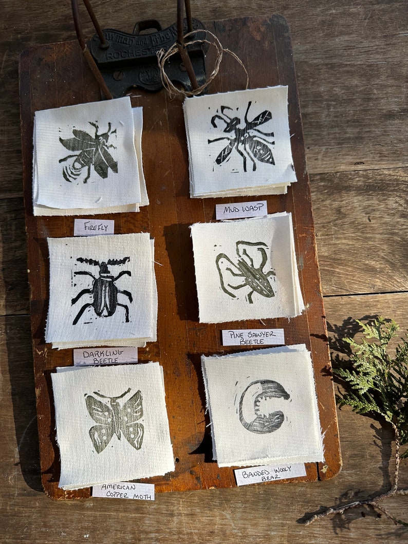 Maine Insect Neighbors - Canvas Patch - Lino Cut Design on Reclaimed ...