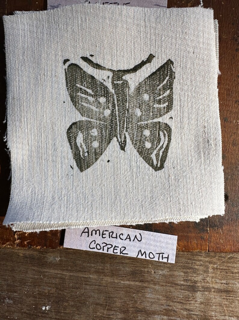 Maine Insect Neighbors - Canvas Patch - Lino Cut Design on Reclaimed ...
