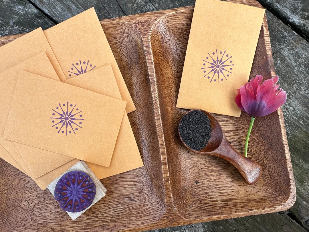 Emeline’s Pink Poppy Seeds - Heritage Flower Seed Package, Homegrown ...