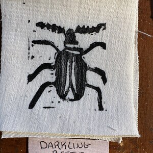 Maine Insect Neighbors - Canvas Patch - Lino Cut Design on Reclaimed ...