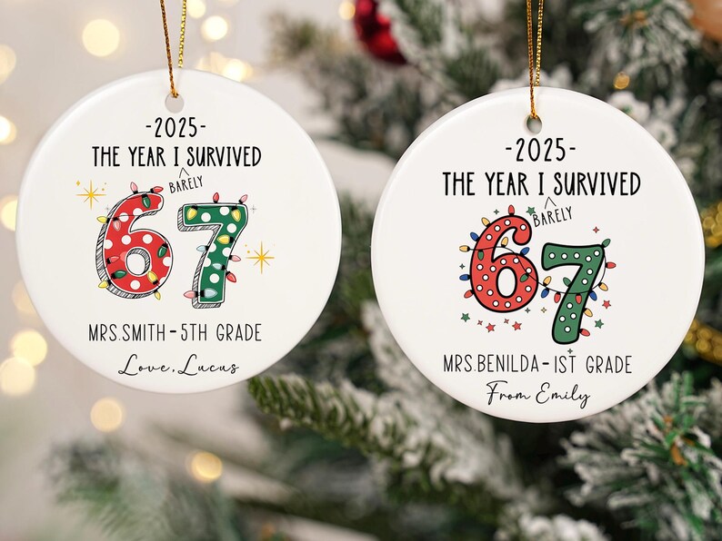The Year I Barely Survived 67 Ornament, Funny Teacher Gift 2025, Custom ...