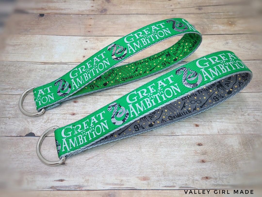 Great Ambition | Slyth House | Wizard School | Snake | Boy Wizard ...