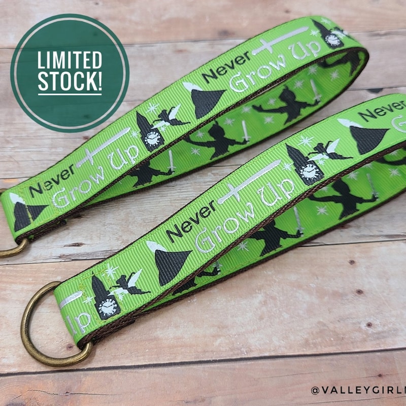 Peter Pan Key Chain - Etsy