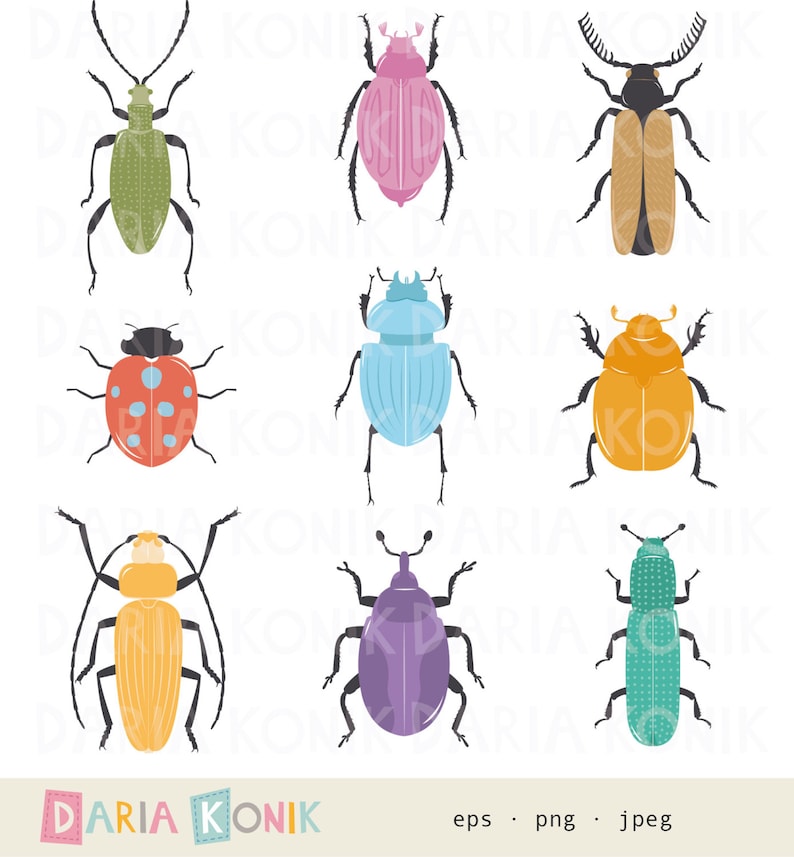 Bugs Clip Art Set-colorful Bugs Beetles Insects Zoological | Etsy