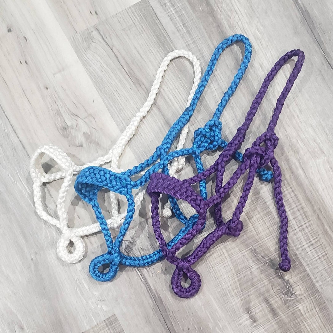 Single Color Muletape Halter Weanling or Yearling Size - Etsy