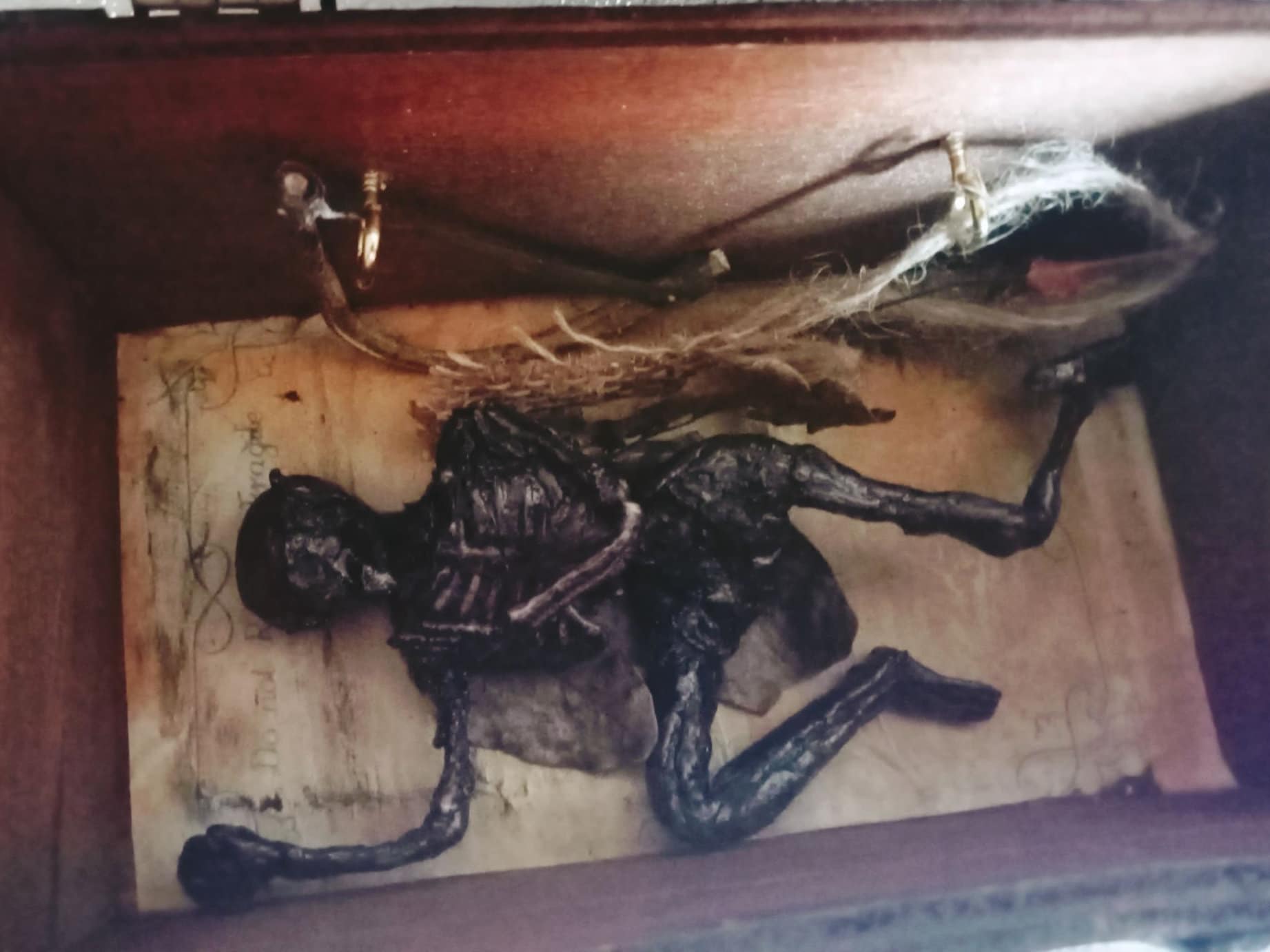 Mummified Fairy Wood Nymph in Wooden Trunk - Etsy