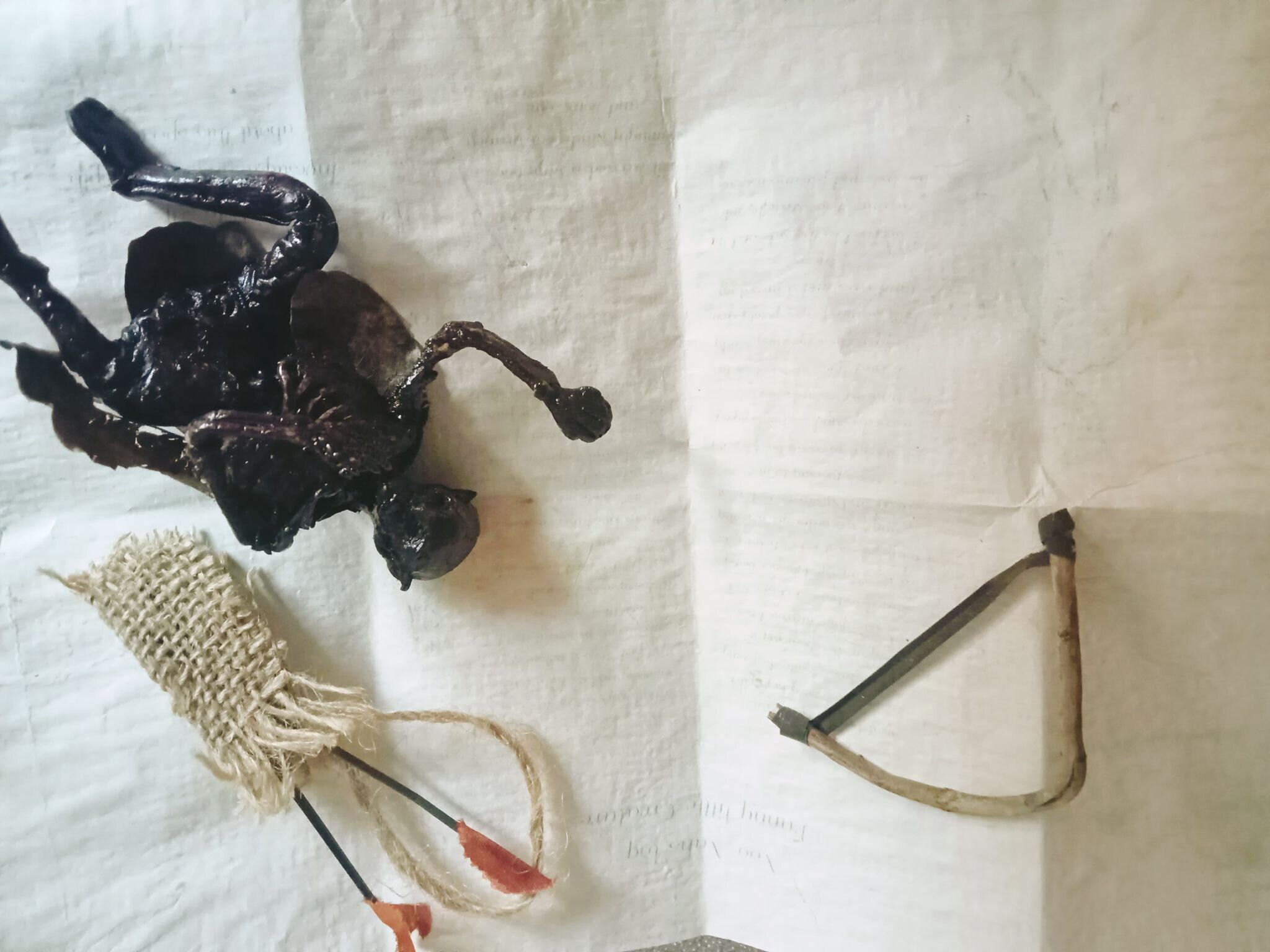 Mummified Fairy Wood Nymph in Wooden Trunk - Etsy