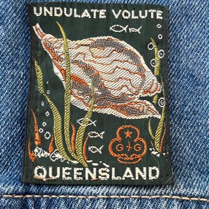 Vintage Scout Patches, Queensland Sea Shells, Nautilis, Ancilla, Tiger ...