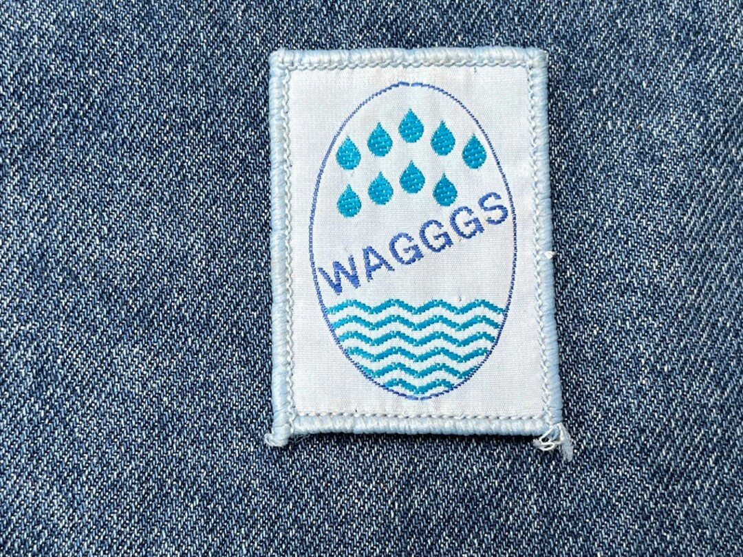 Patch Vintage, Wagggs, Brownie Guide, Guides Australia, Girl Guides ...