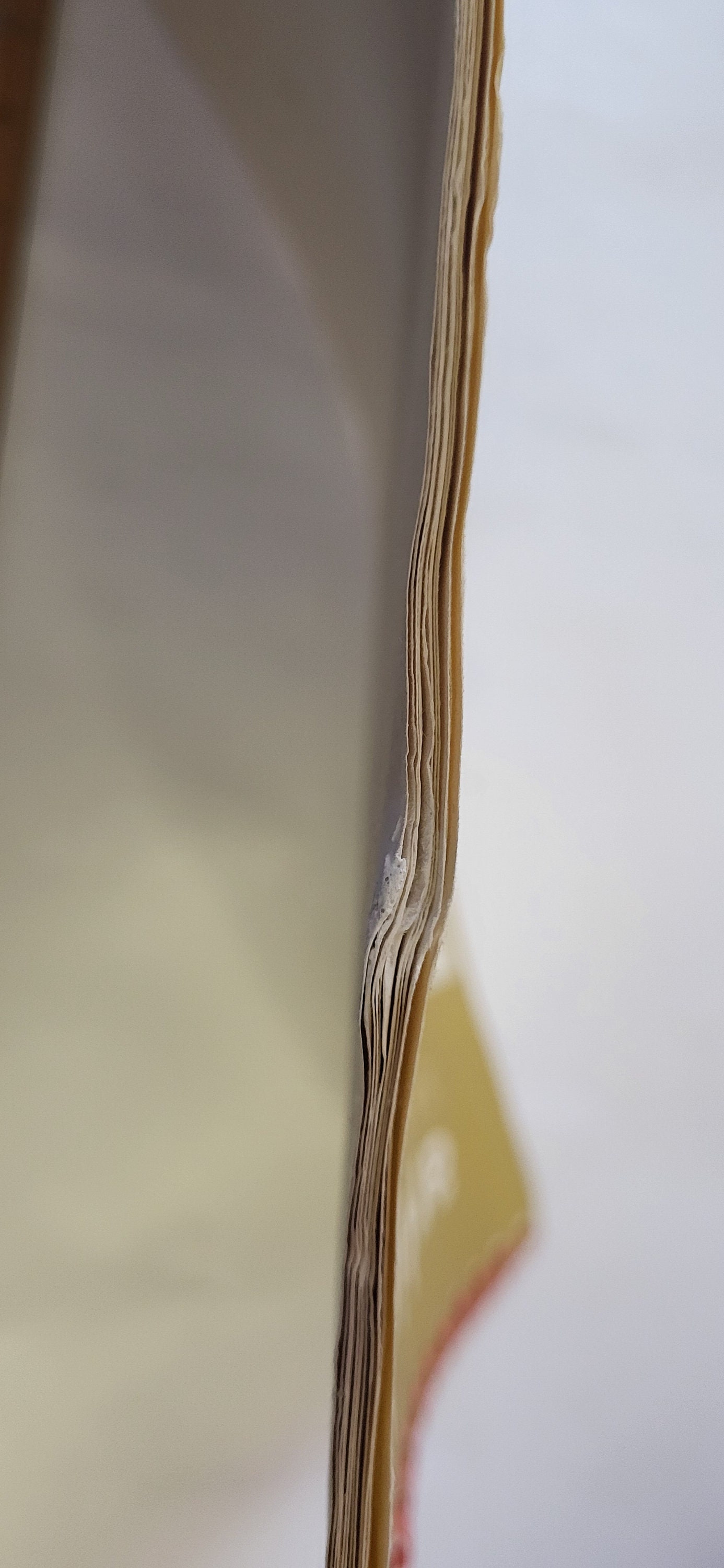 Complete Vintage 1958 Ted Withers Pin up Girl Calendar for Jay Gere ...