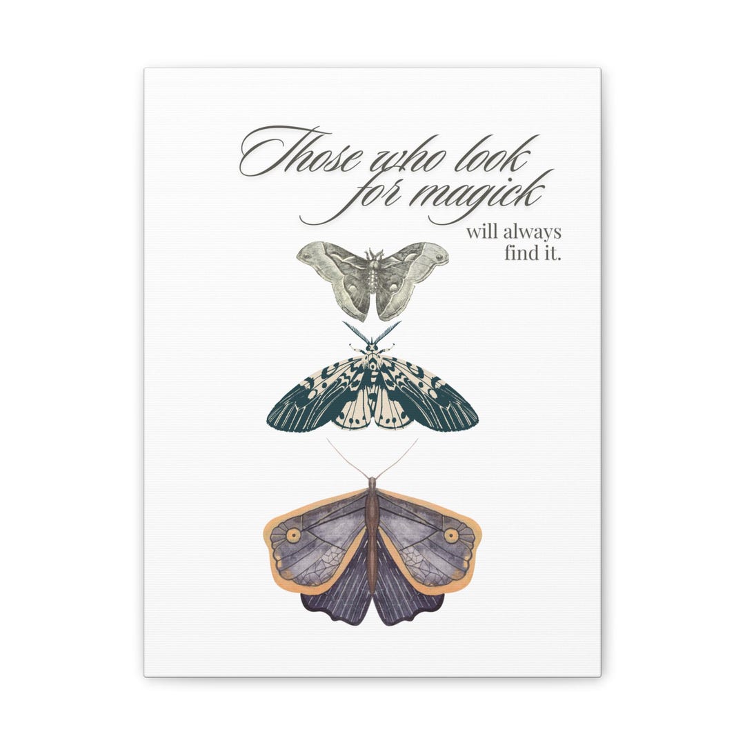 Look for Magick: Wall Art Moth Moths Butterfly Butterflies Insect ...