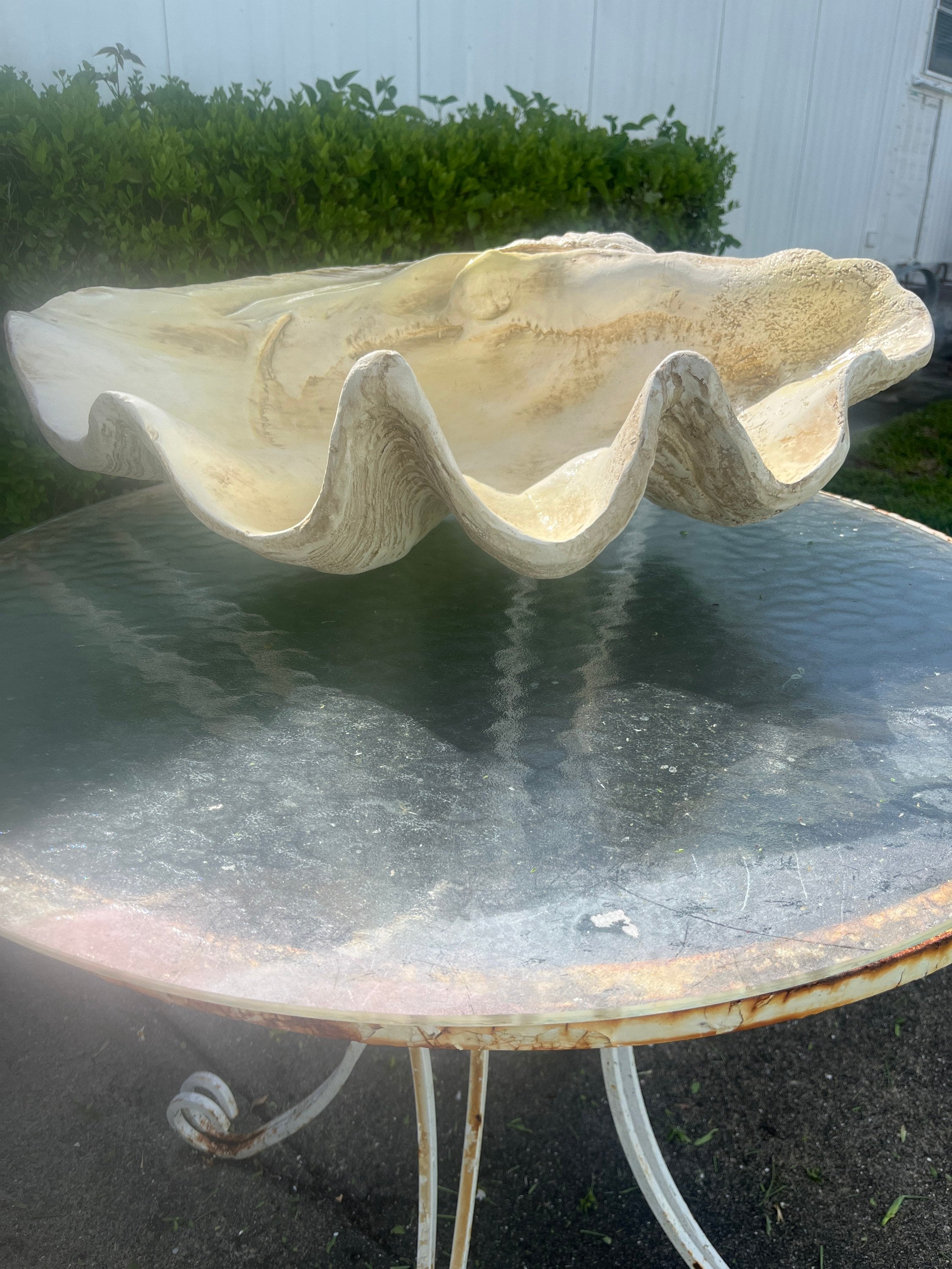 Giant Clam Shell Prop