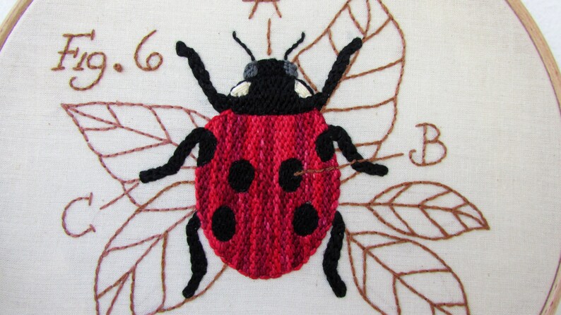 Ladybird Handmade Wall Hanging, Embroidered Insect Wall Art, Natured ...