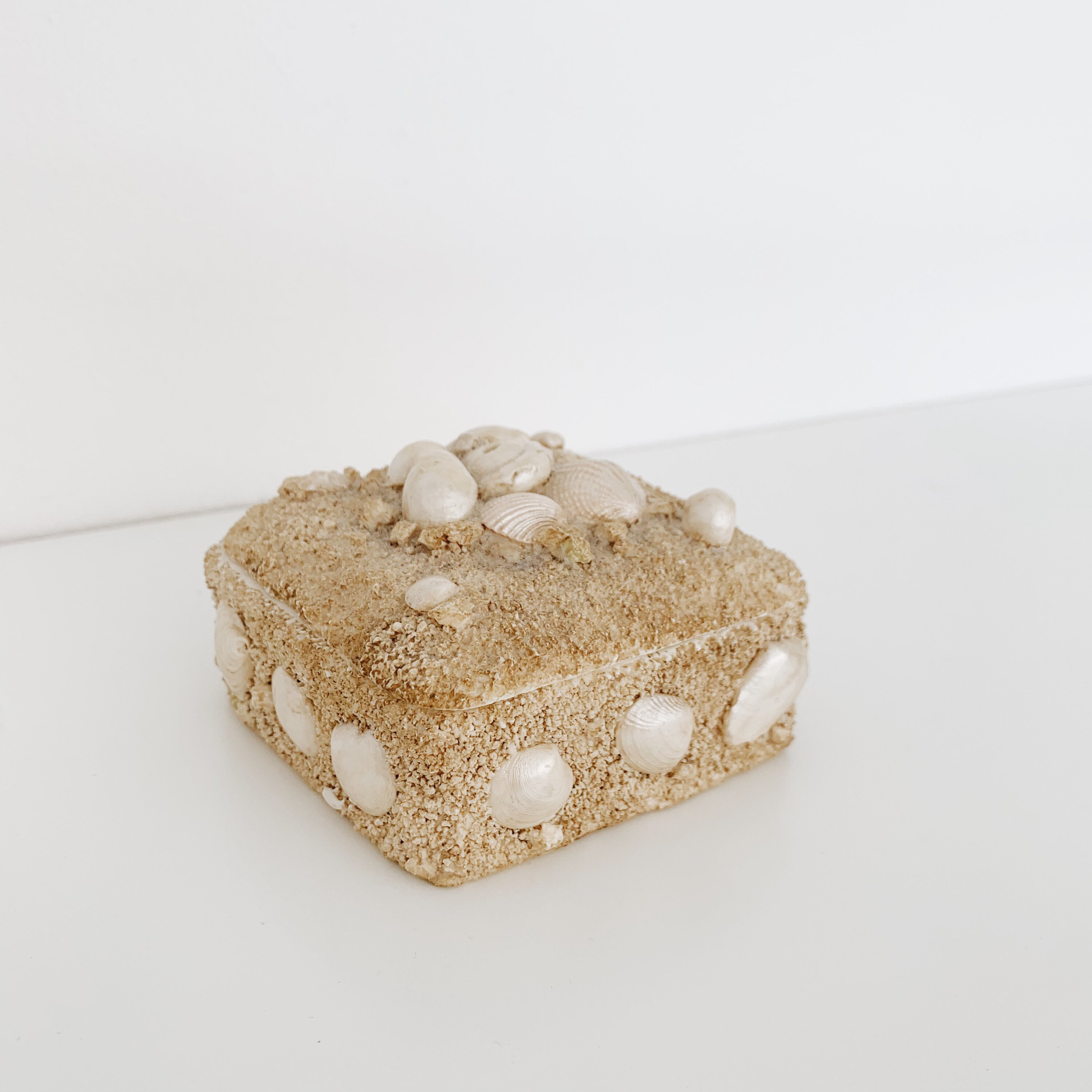 Vintage shell container | shell jewelry holder