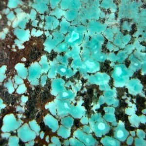 Spiderweb Turquoise, Cloud Mountain Mine, Size 7 1/2 Ring, Sterling ...