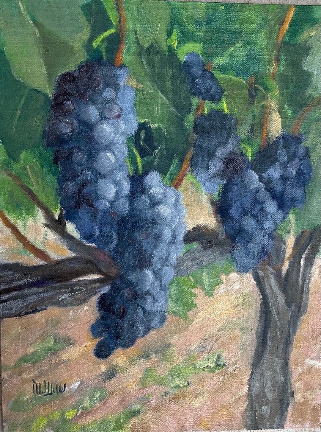 50. “tempranillo on the Vine” 9x12, Oil on Linen on Board Painting by ...