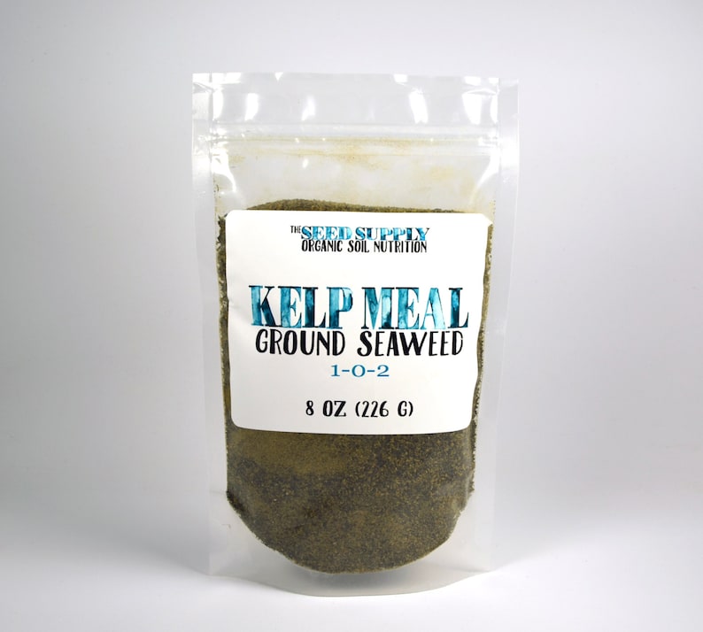 8 Ounces Organic Kelp Meal 1-0-2 Natural Norwegian Kelp Seaweed ...