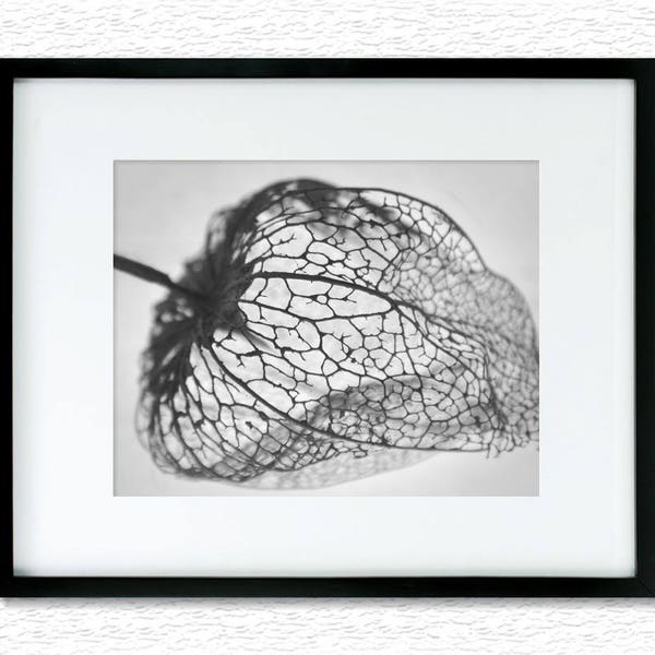 A3 Flower Print - Etsy