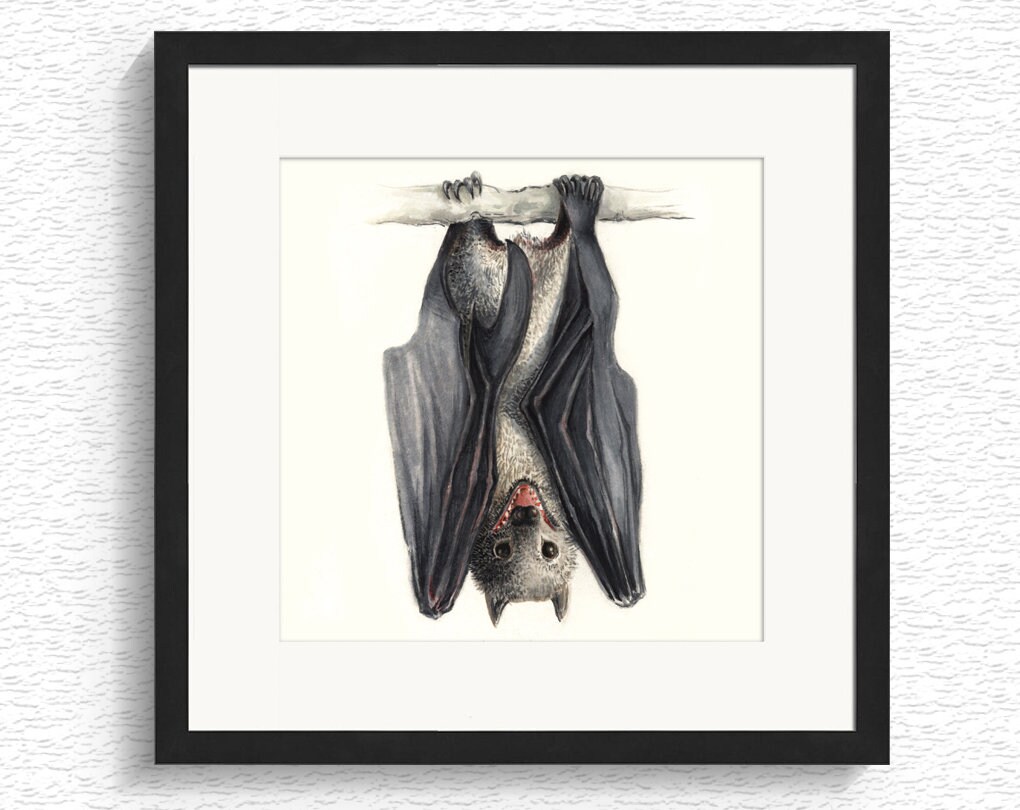 Downloadable Bat Prints, Printable Art Watercolor Animal Prints ...