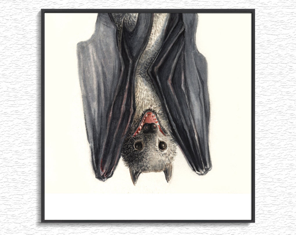 Downloadable Bat Prints, Printable Art Watercolor Animal Prints ...