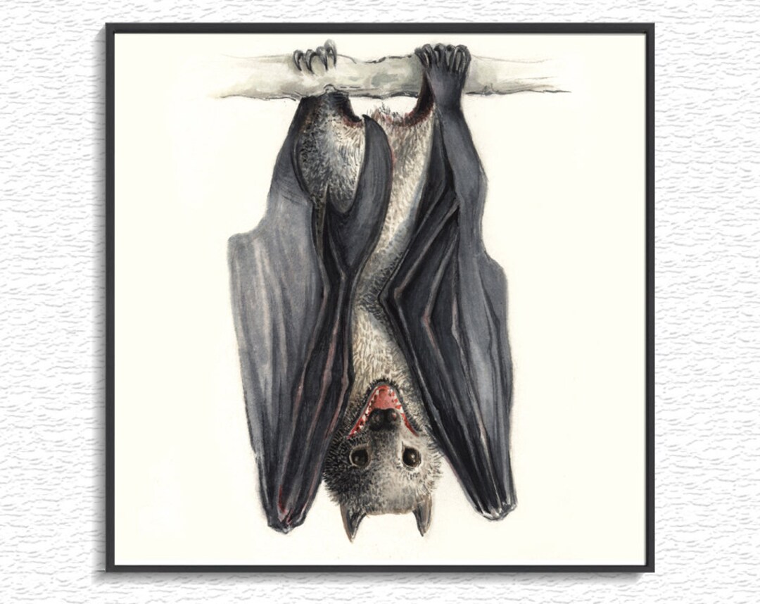Downloadable Bat Prints, Printable Art Watercolor Animal Prints ...