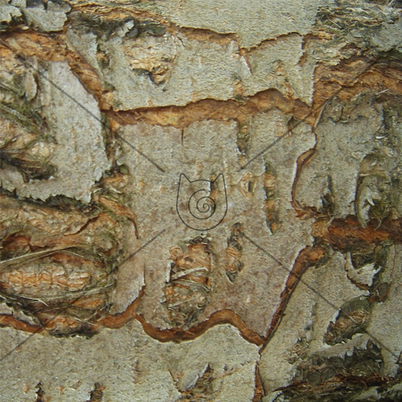 Natural Tree Bark Textures Collage Digital Paper, Printable, Instant ...