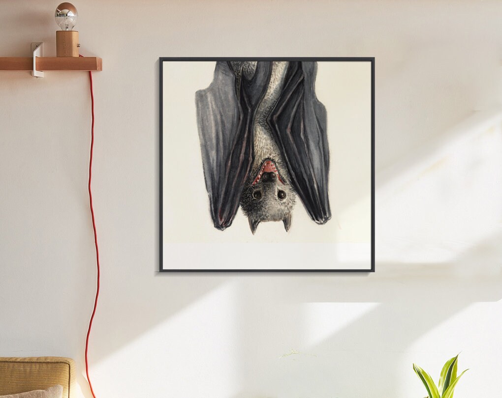 Downloadable Bat Prints, Printable Art Watercolor Animal Prints ...
