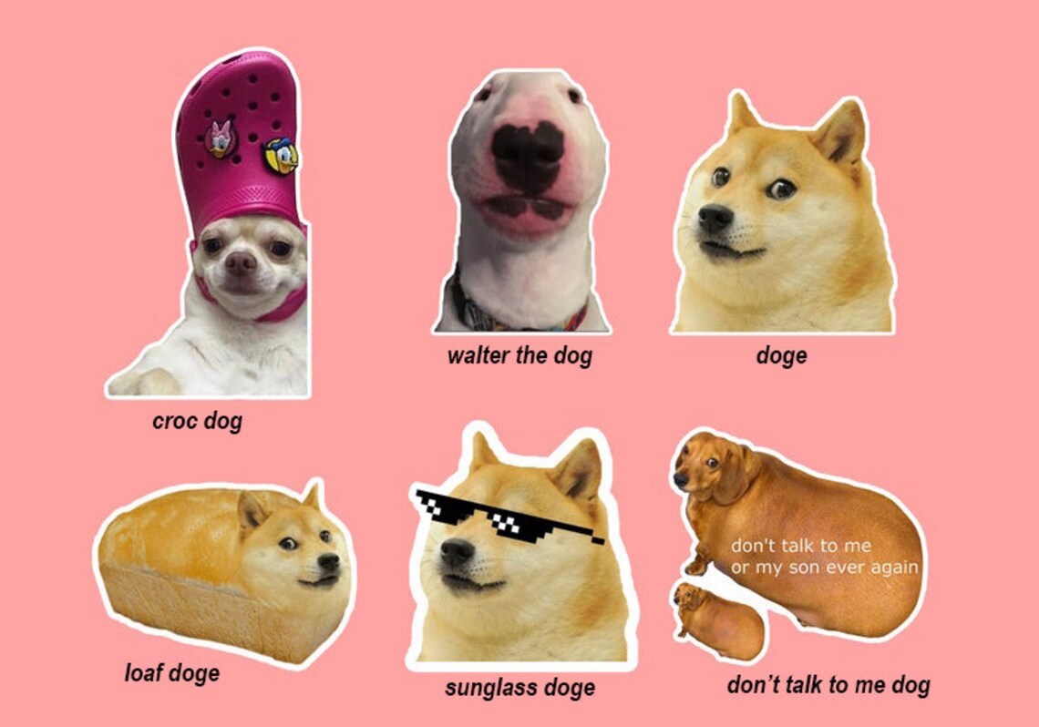 Animal Meme Stickers - Etsy
