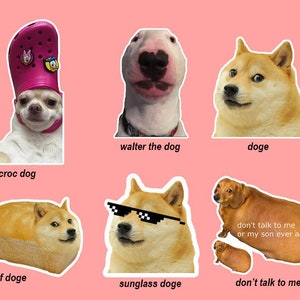 Animal Meme Stickers - Etsy