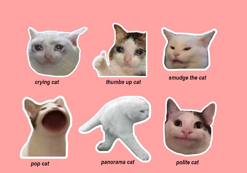 Animal Meme Stickers - Etsy