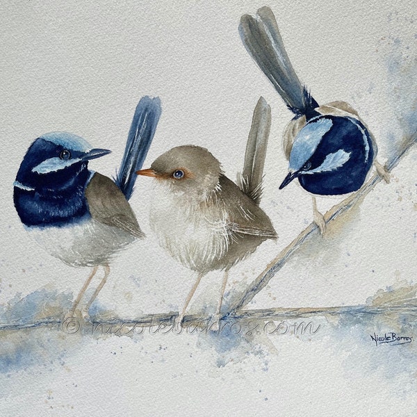 Blue Wren - Etsy Australia