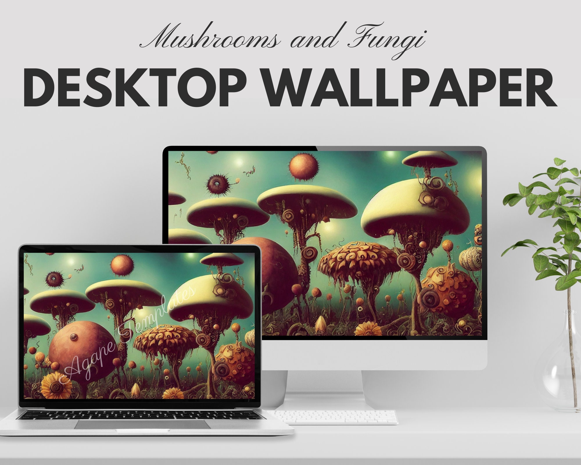 Desktop Wallpaper, Mushrooms and Fungi, PC Wallpaper, Laptop, Computer ...